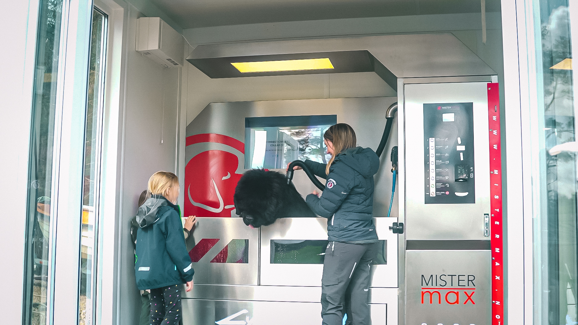 Hvordan bruker man Mister Max hundevask? - Mister Max